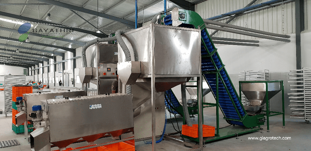 Automatic Cashew Kernel Peeling Machine Manufacturer | Cashew Kernel ...